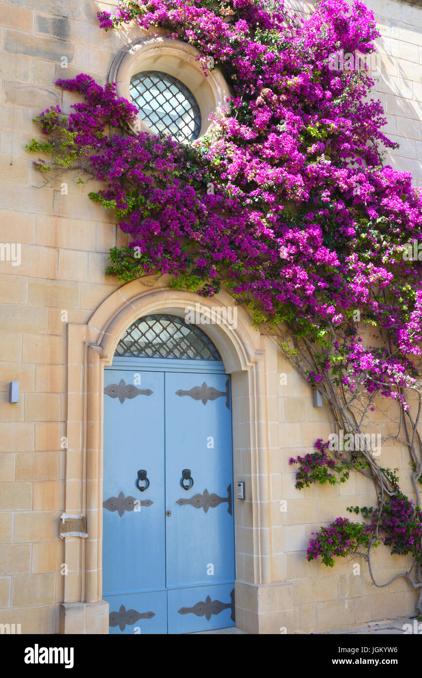 beautiful doorway with purple flowers growing alongside on the wall ...