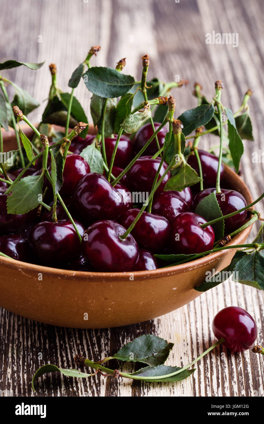 Fresh sour cherries, Ukrainian sweet variety shpanka in ceramic bowl on ...