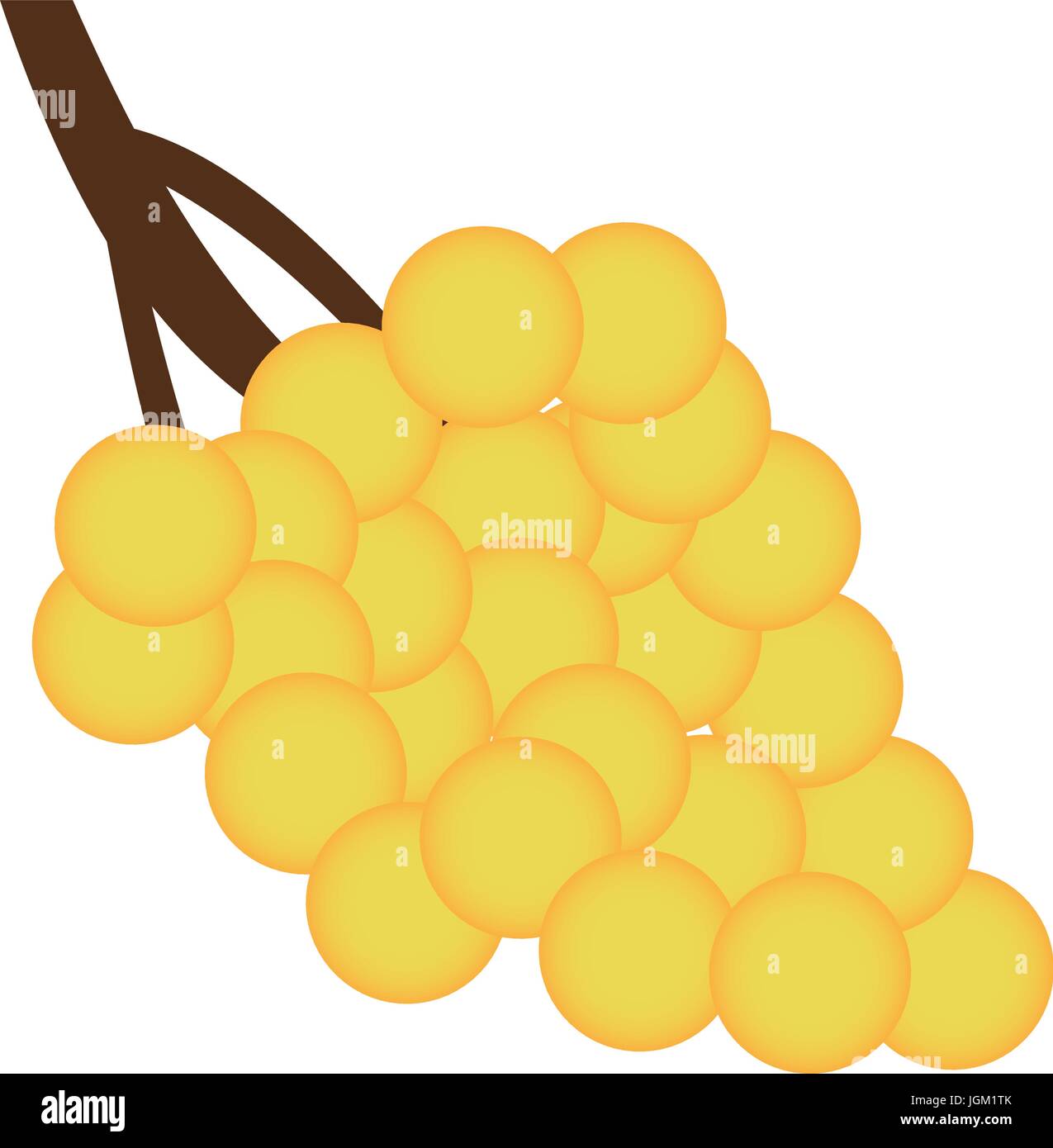 Bunch of yellow grapes with isolated on white background Stock Vector ...