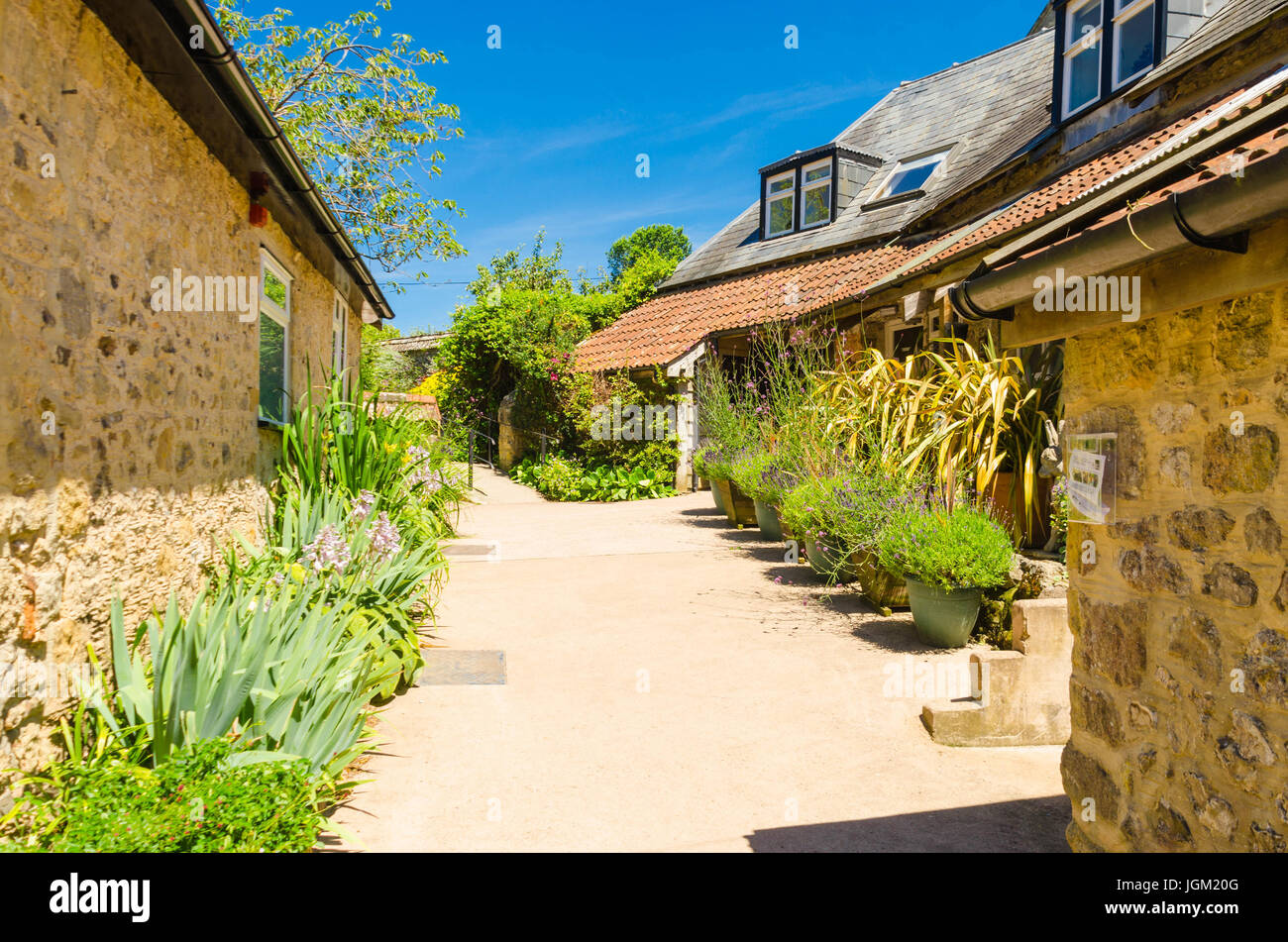Farm house and out buildings Sidmouth Devon England UK Stock Photo - Alamy
