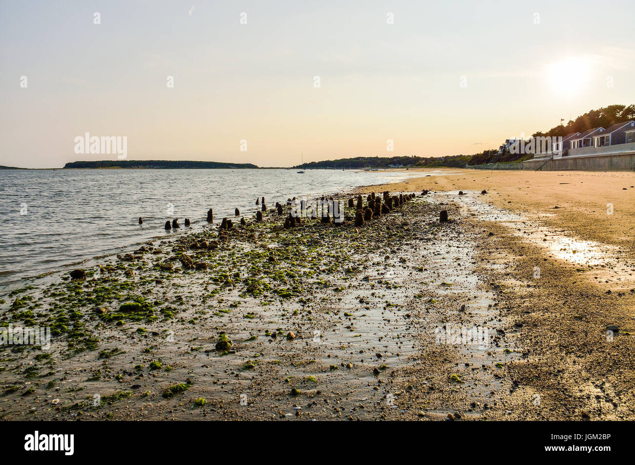 Wellfleet Boats High Resolution Stock Photography and Images - Alamy