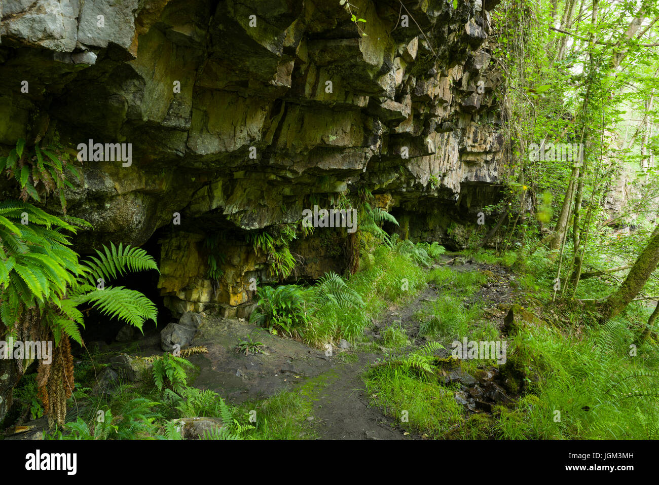 Sandstone cliffs overlooking the Nedd Fechan river in the Bannau ...