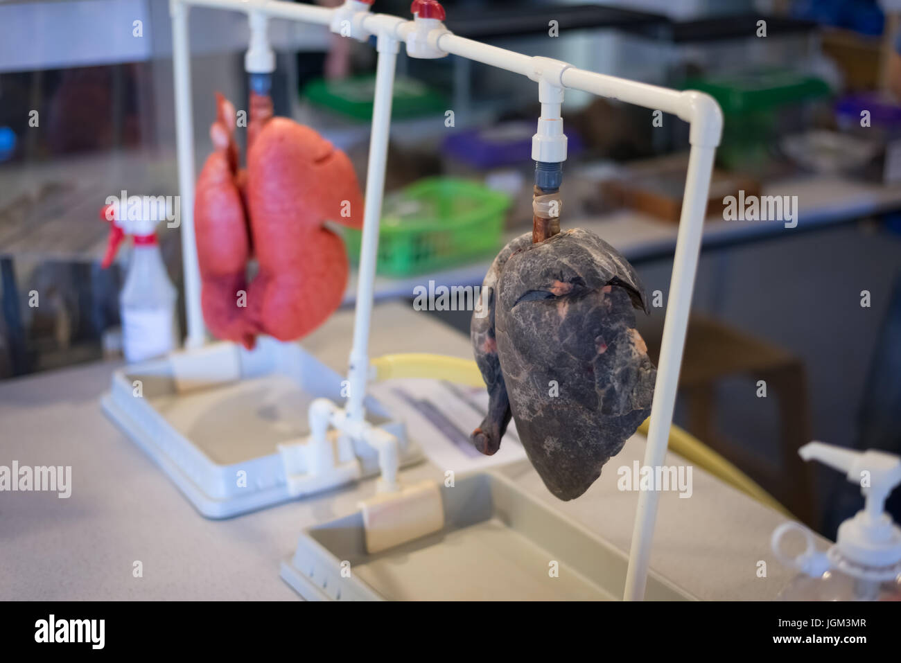 Healthy pulmonary system design hi-res stock photography and images - Alamy