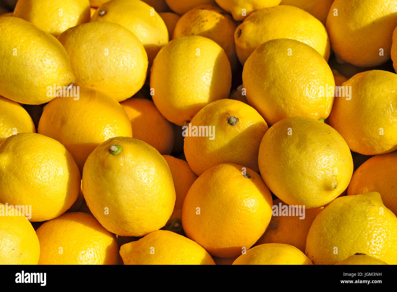 Europe, Italy, Florence, weekly market, market, market stall, lemon ...