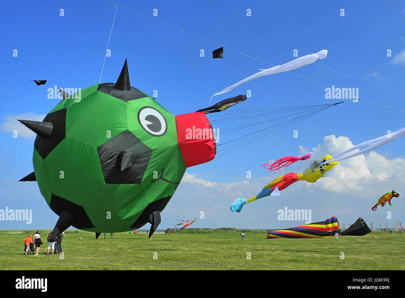 Germany, Lower Saxony, Wangerland, Schillig, North Sea coast, dragon ...