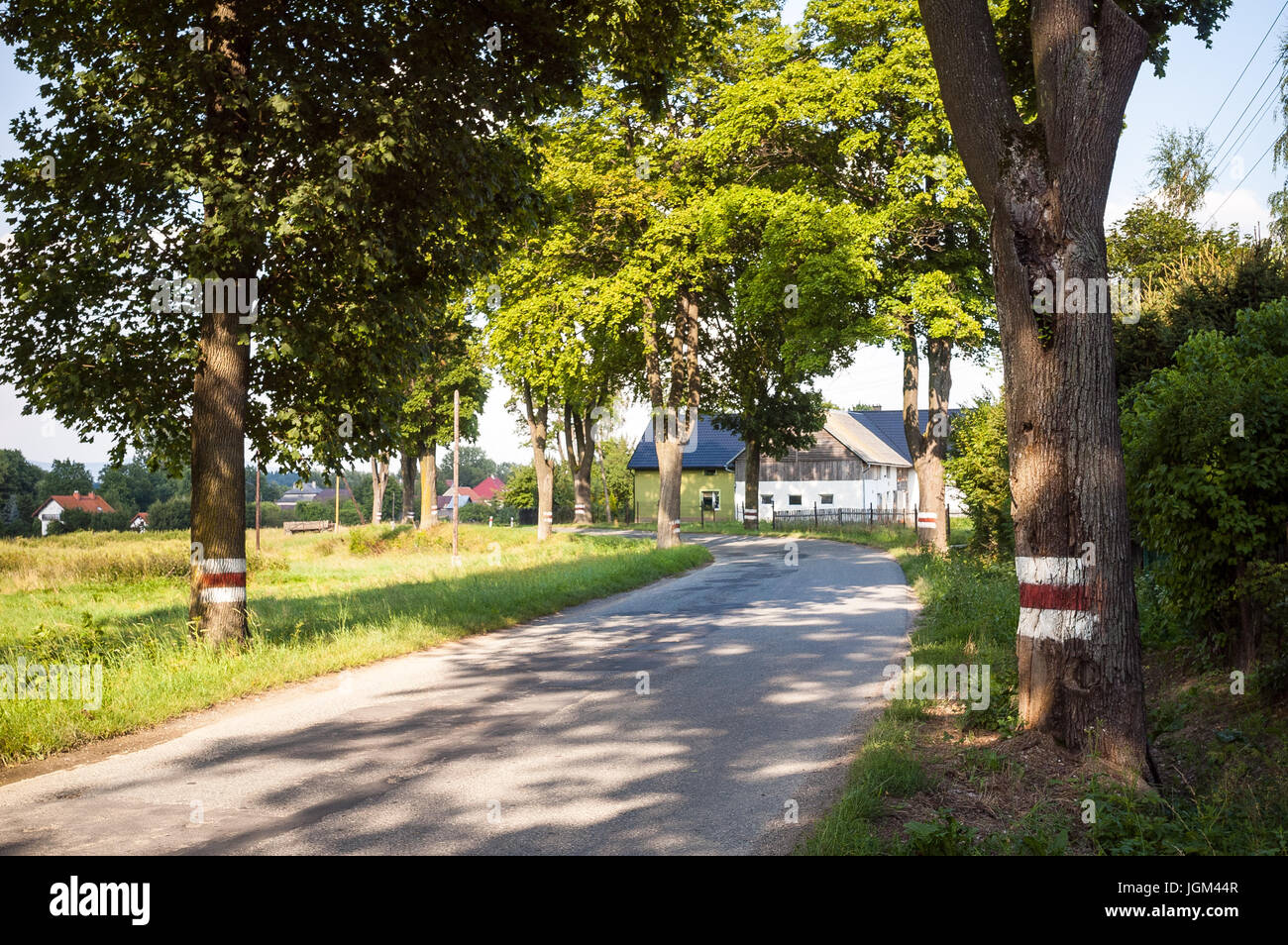 A small turning road in the countryside with trees on the sides under a ...