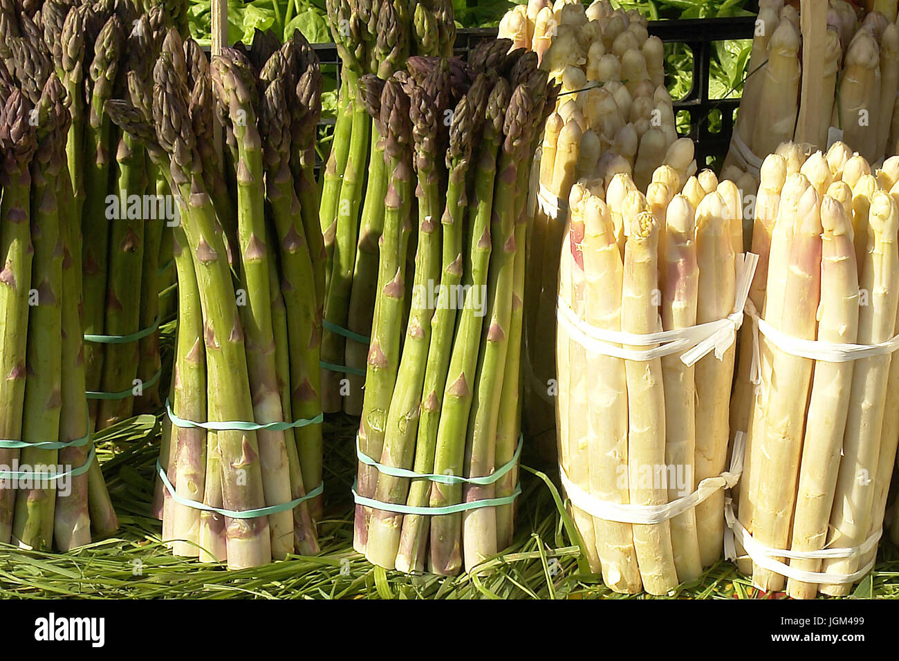 Europe, Italy, Venice, plant, plants, food, food, Ernehrung, food ...