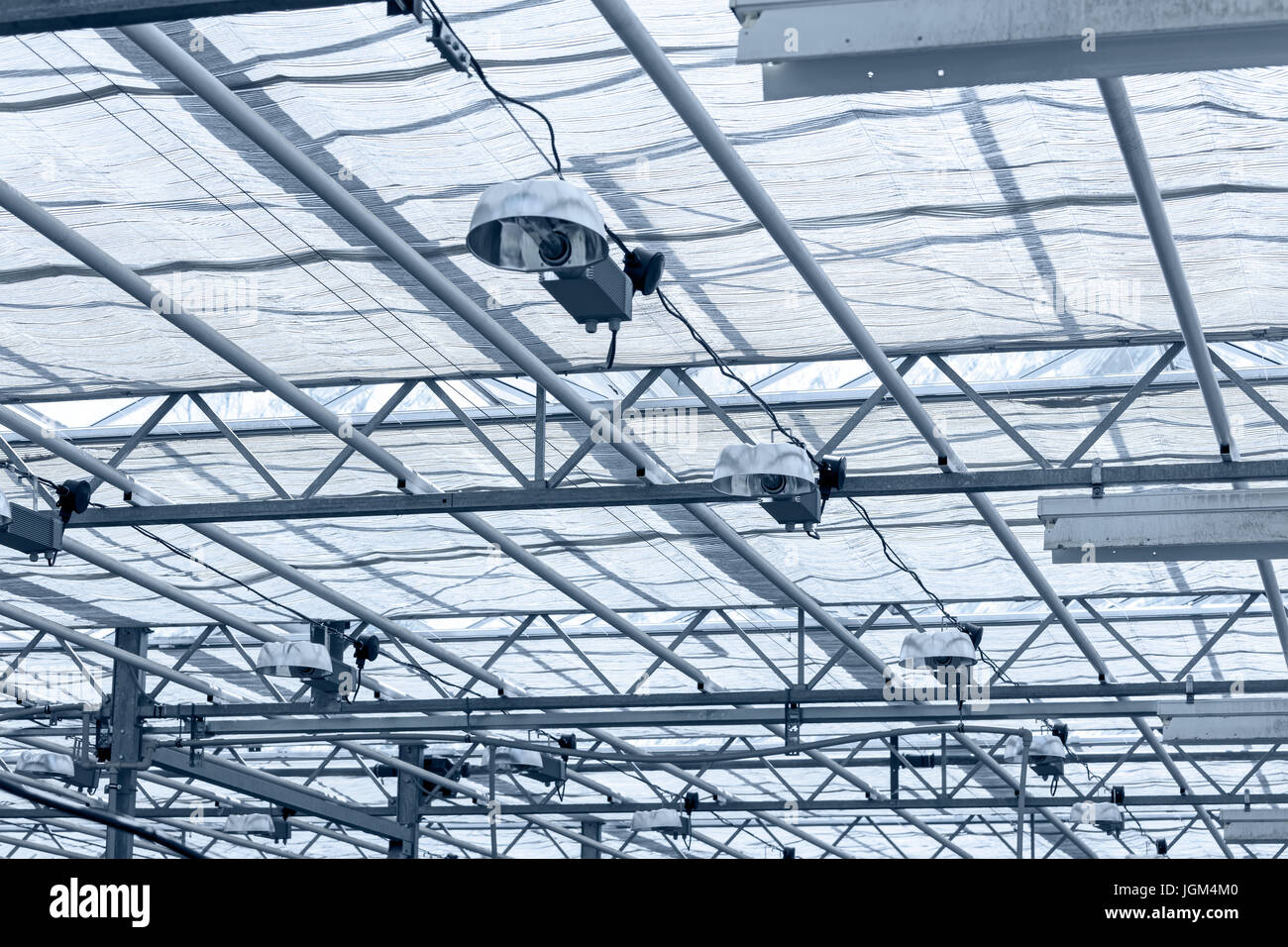 modern transparent roof inside greenhouse. structural glass ceiling ...