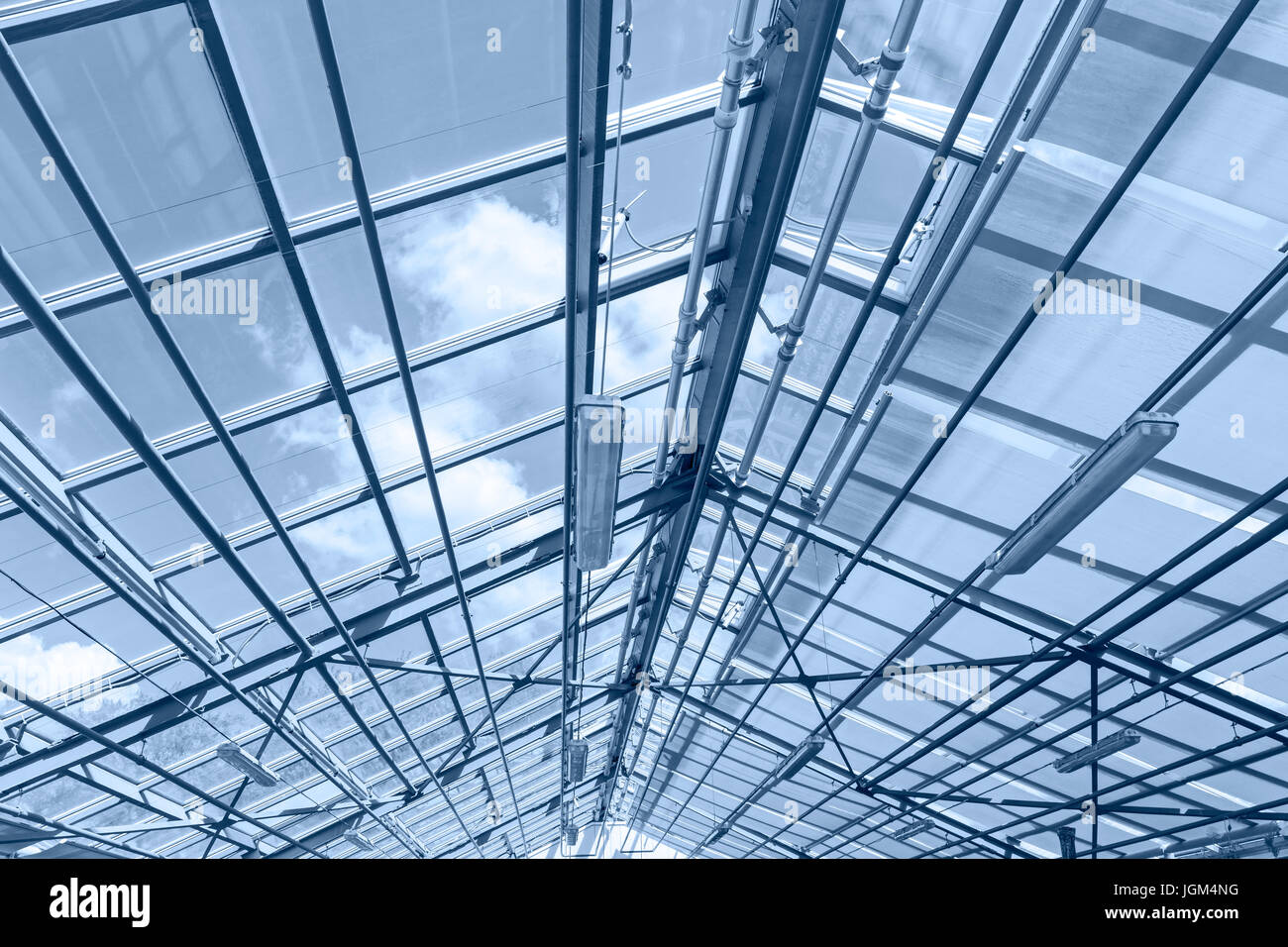 glass ceiling of contemporary greenhouse. structure of steel roof frame ...