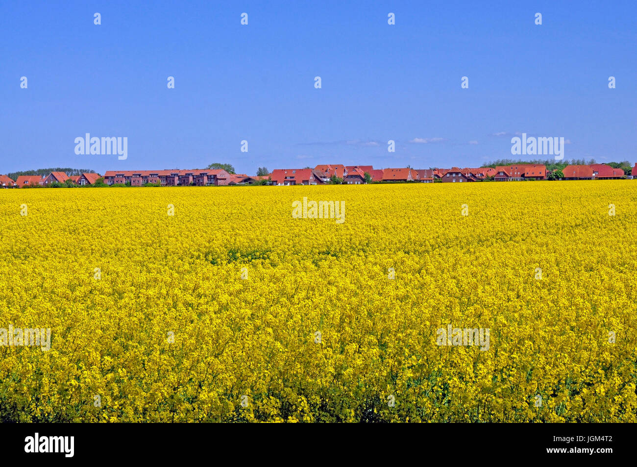 Europe, Germany, Lower Saxony, East Friesland, Friesland, scenery, blue ...