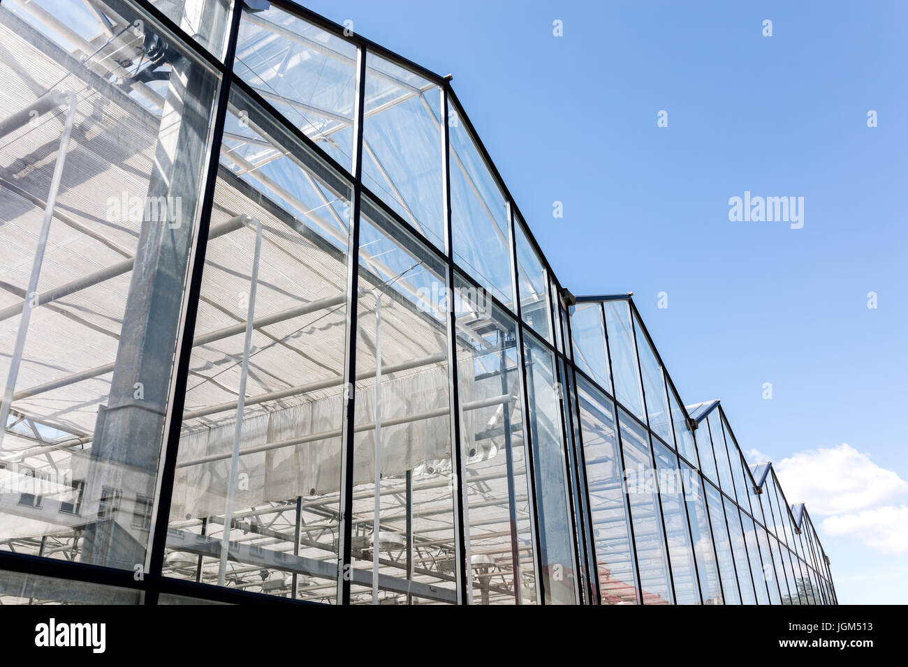 exterior glass facade of agricultural glasshouse on blue sky background ...