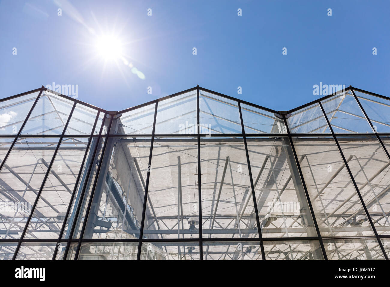 row of greenhouses under clear blue sky. front view Stock Photo - Alamy