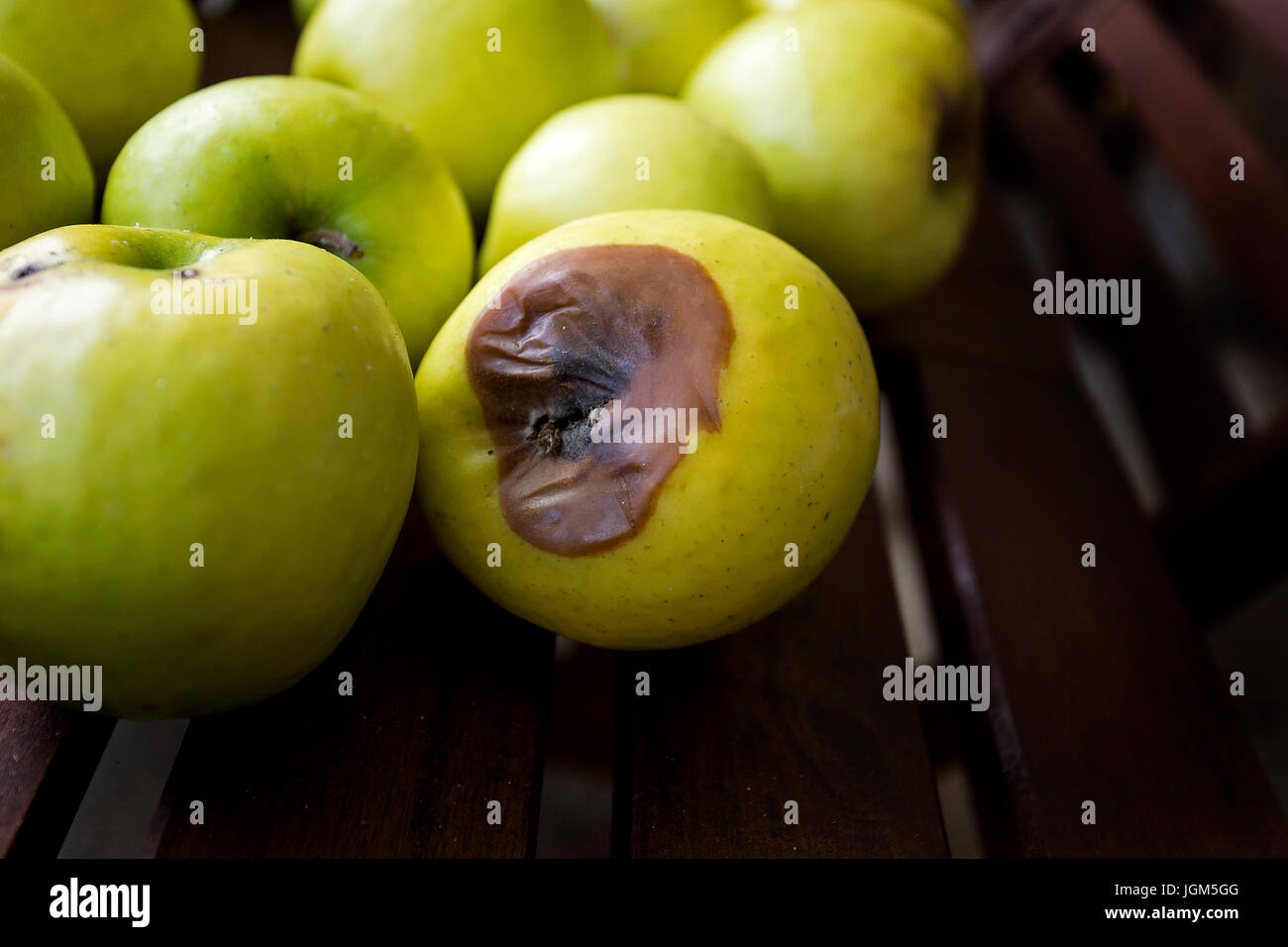 Rotten apple worm hi-res stock photography and images - Alamy