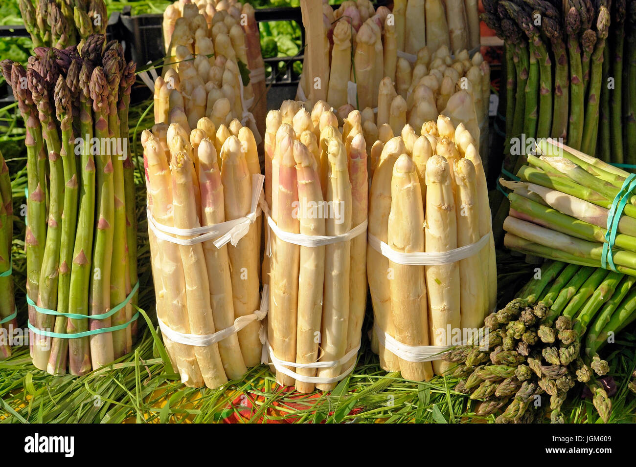 Europe, Italy, Venice, plant, plants, food, food, Ernehrung, food ...