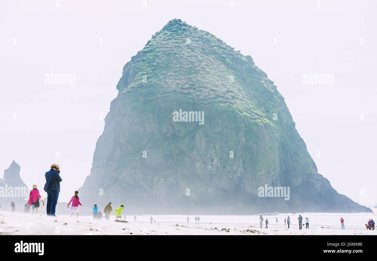 Foggy day at Haystack Rock Stock Photo - Alamy