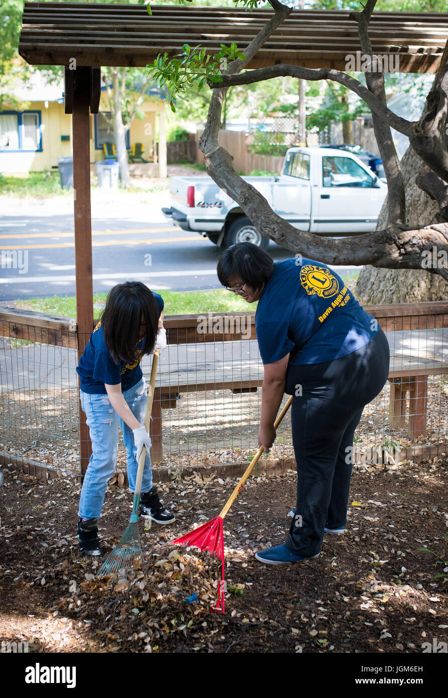Volunteers cleaning up a neighborhood homeless shelther Stock Photo - Alamy