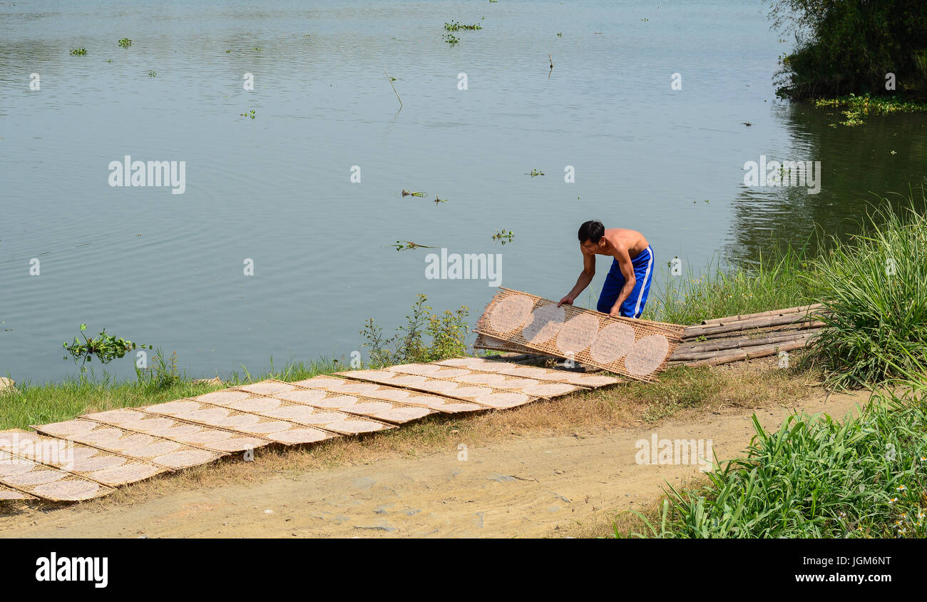 Rice Paper Production Vietnam High Resolution Stock Photography and ...