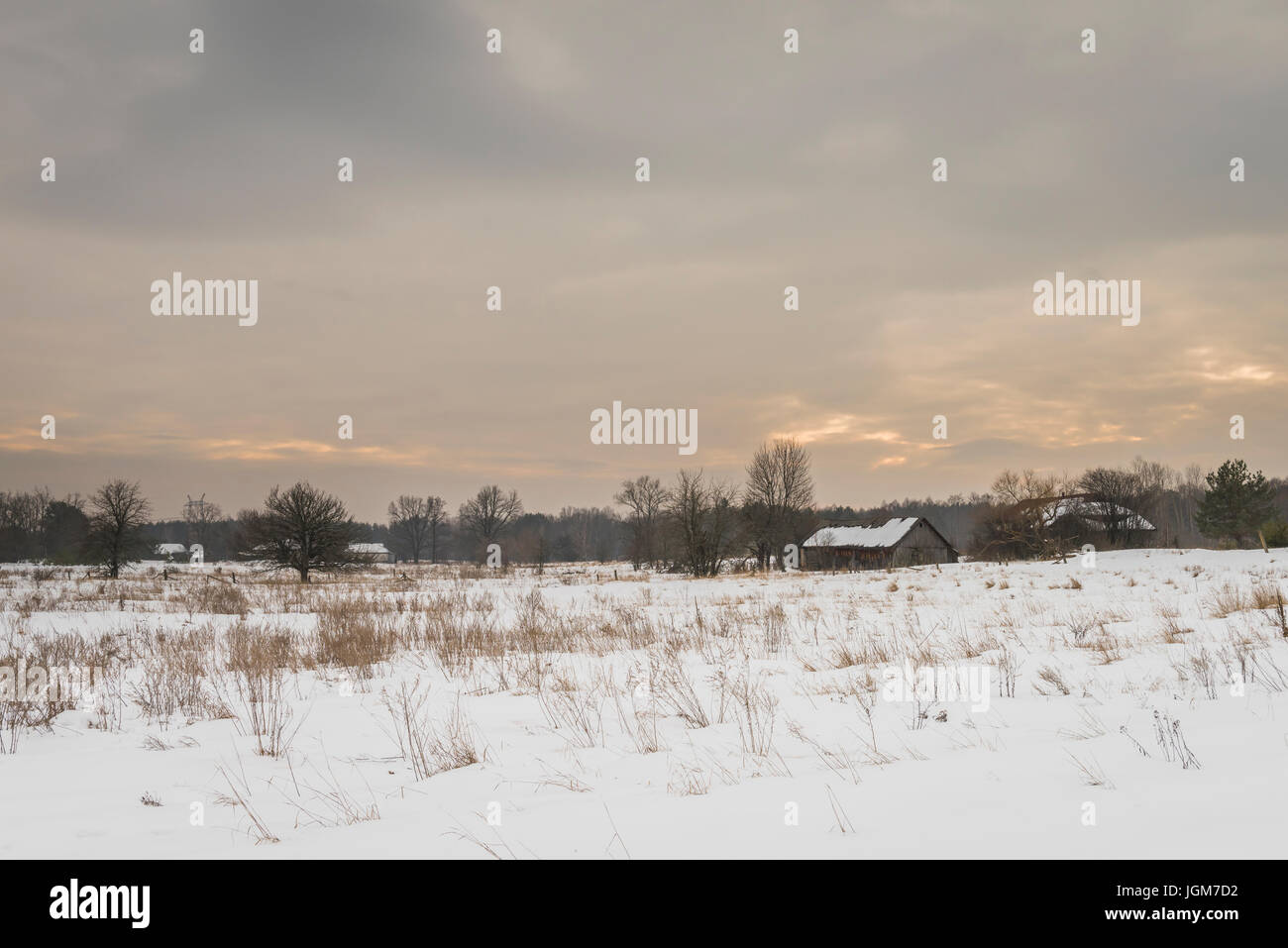 Radioactive winter landscape near Chernobyl with abandoned farms and ...