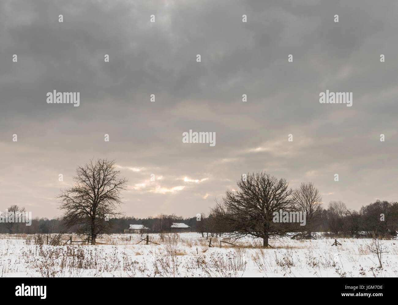 Radioactive winter landscape near Chernobyl with abandoned farms and ...
