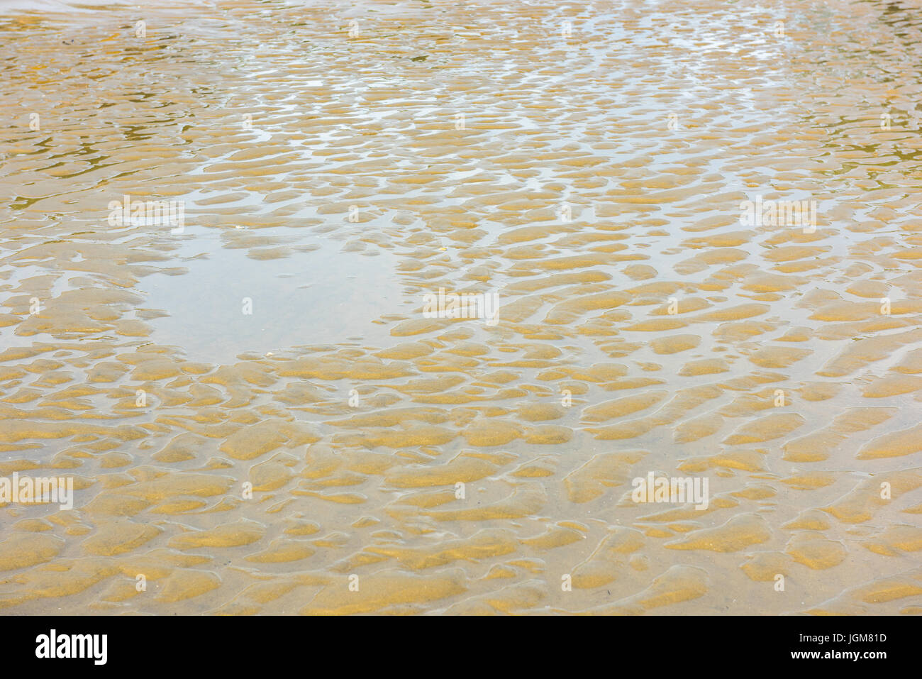 View of a sand sea bottom for background and texture Stock Photo - Alamy