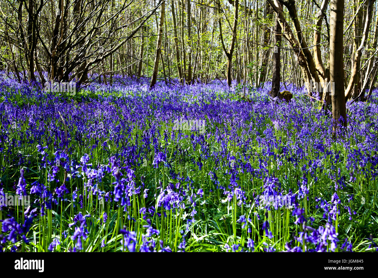 8197. Backgrounds; Colours; Colors; Display; Colours, Blue and Green ...