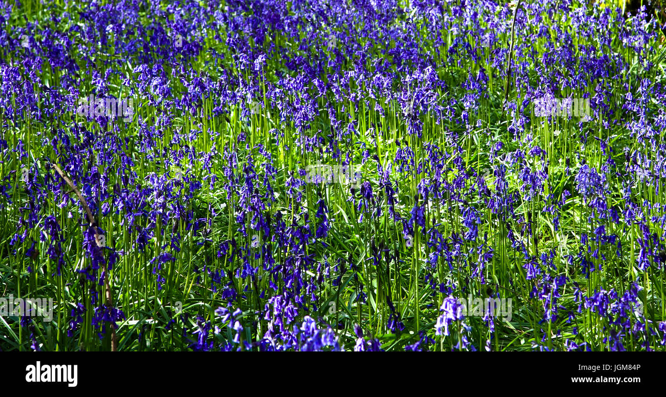 8191. Backgrounds; Colours; Colors; Display; Colours, Blue and Green ...