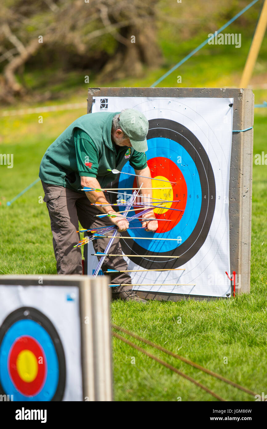Man pulling arrows from an archery target Stock Photo - Alamy