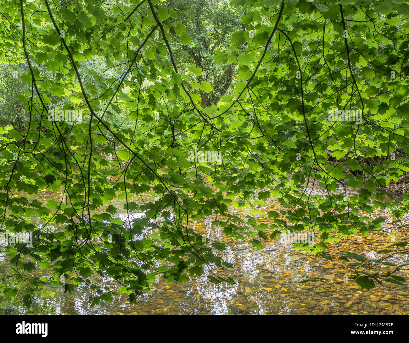 Felindre Stock Photos & Felindre Stock Images - Alamy