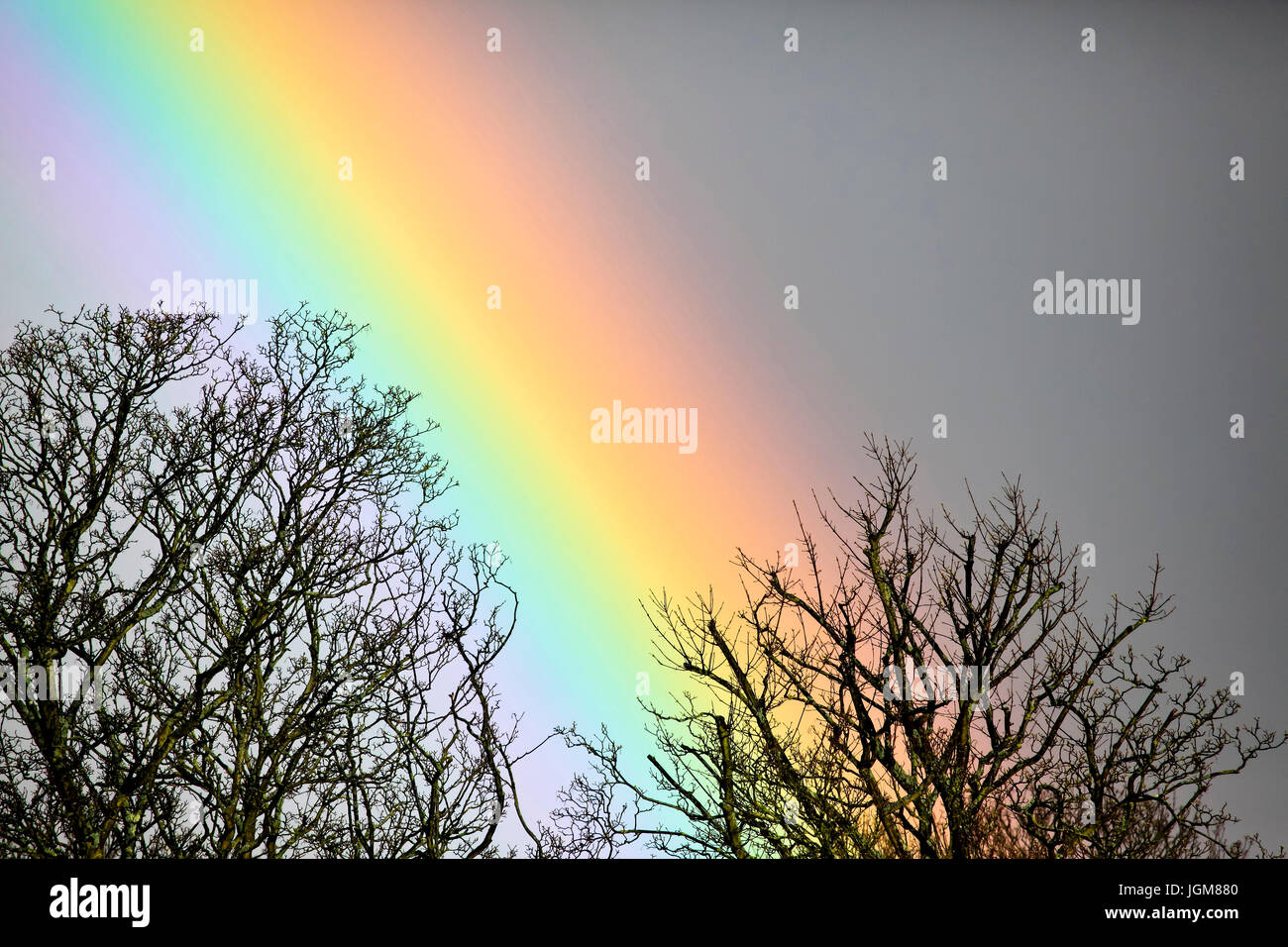 8168. Backgrounds; Colours; Colors; Display; Colours, Rainbow Stock ...