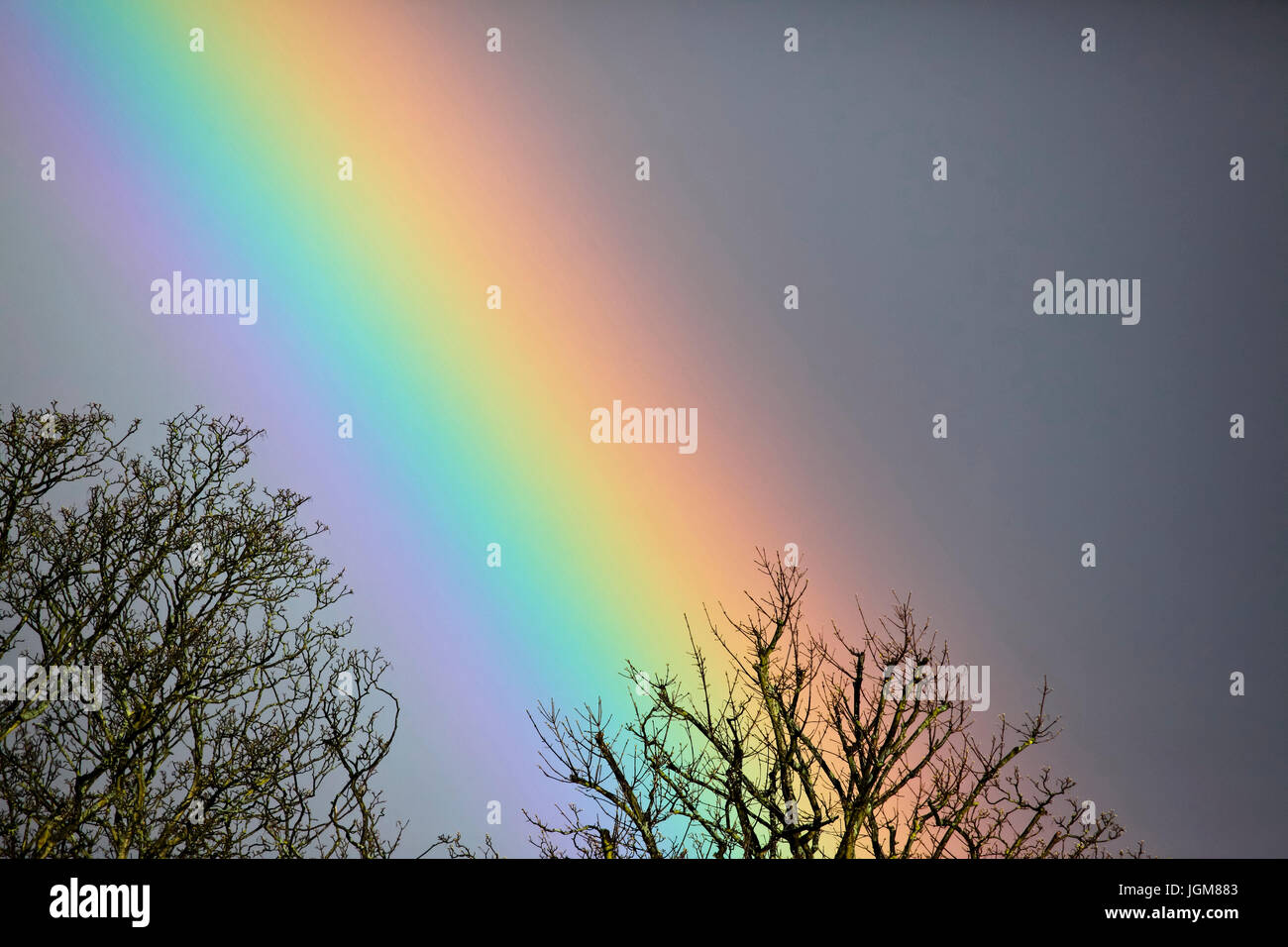 8167. Backgrounds; Colours; Colors; Display; Colours, Rainbow Stock ...