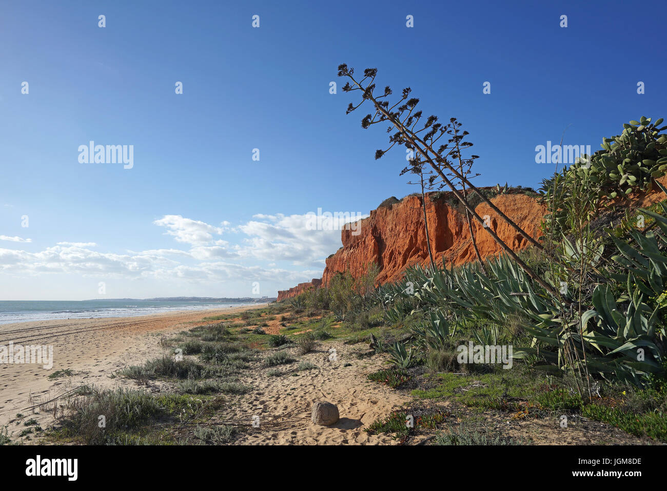 agaves, Algarve, surf, erosion, Europe, rock, sienna-coloured, Portugal ...