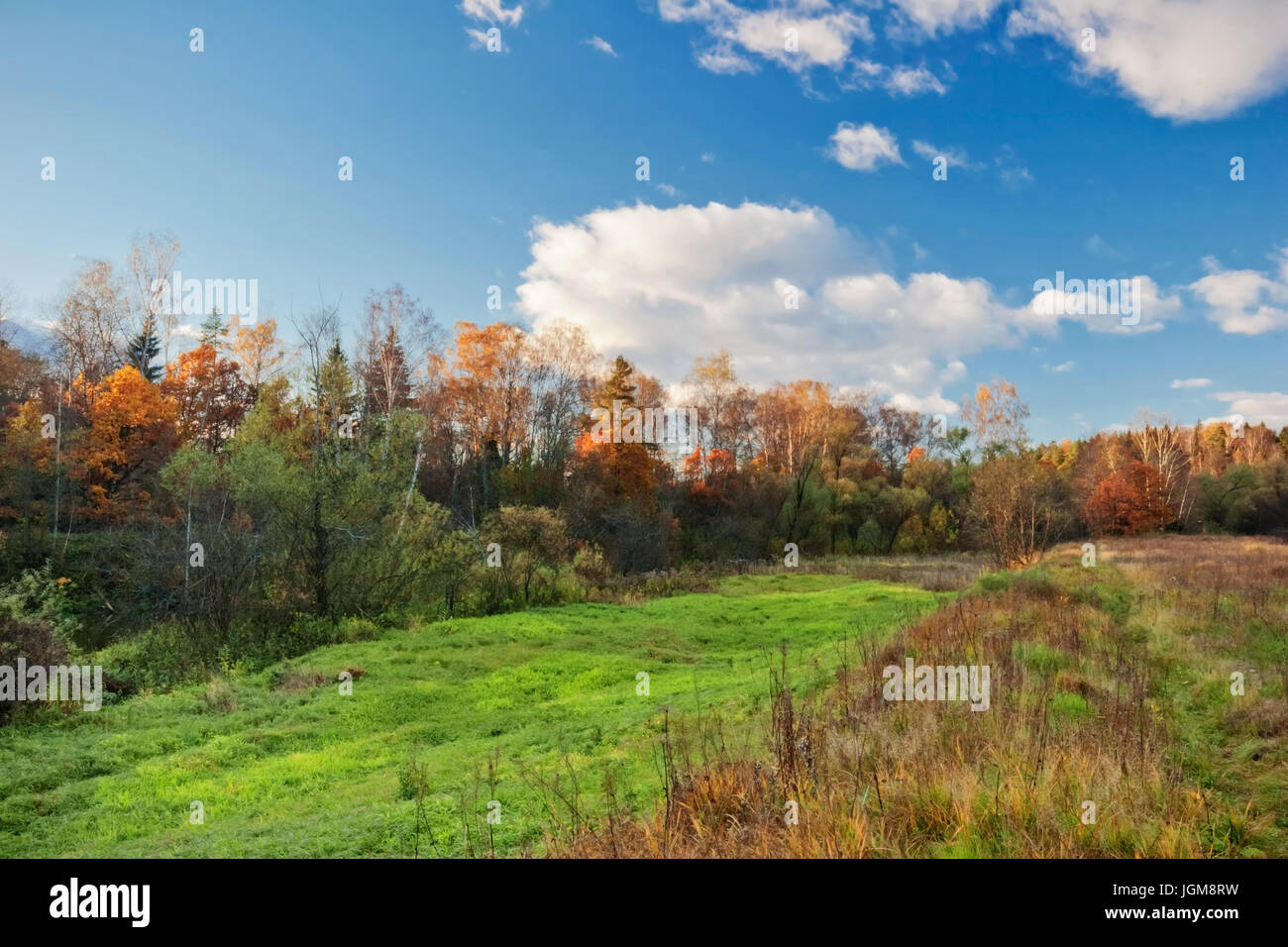 sunny autumnal field under blue sky Stock Photo - Alamy