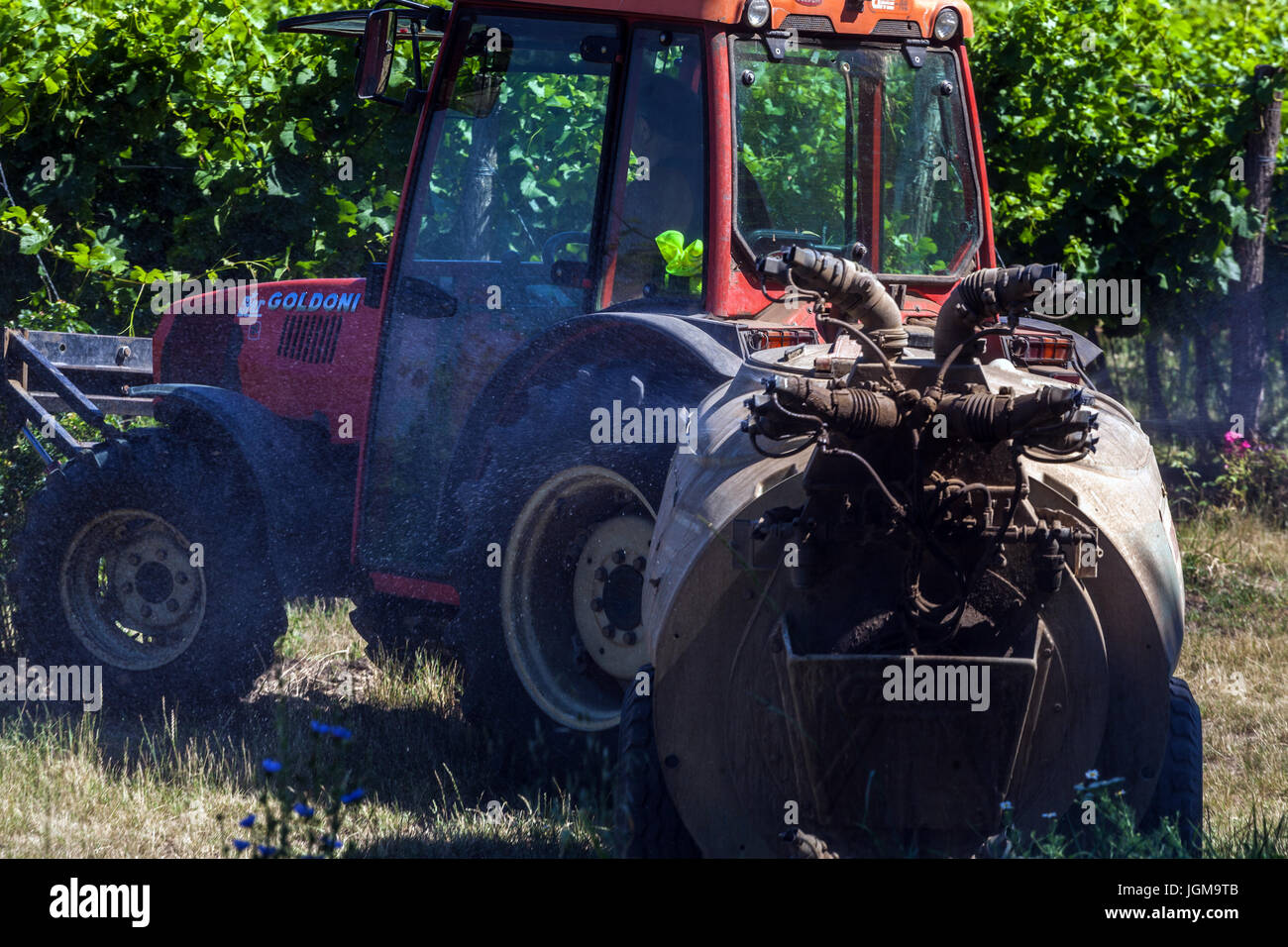 Chemical spraying vines in vineyards, Valtice region of South Moravia ...