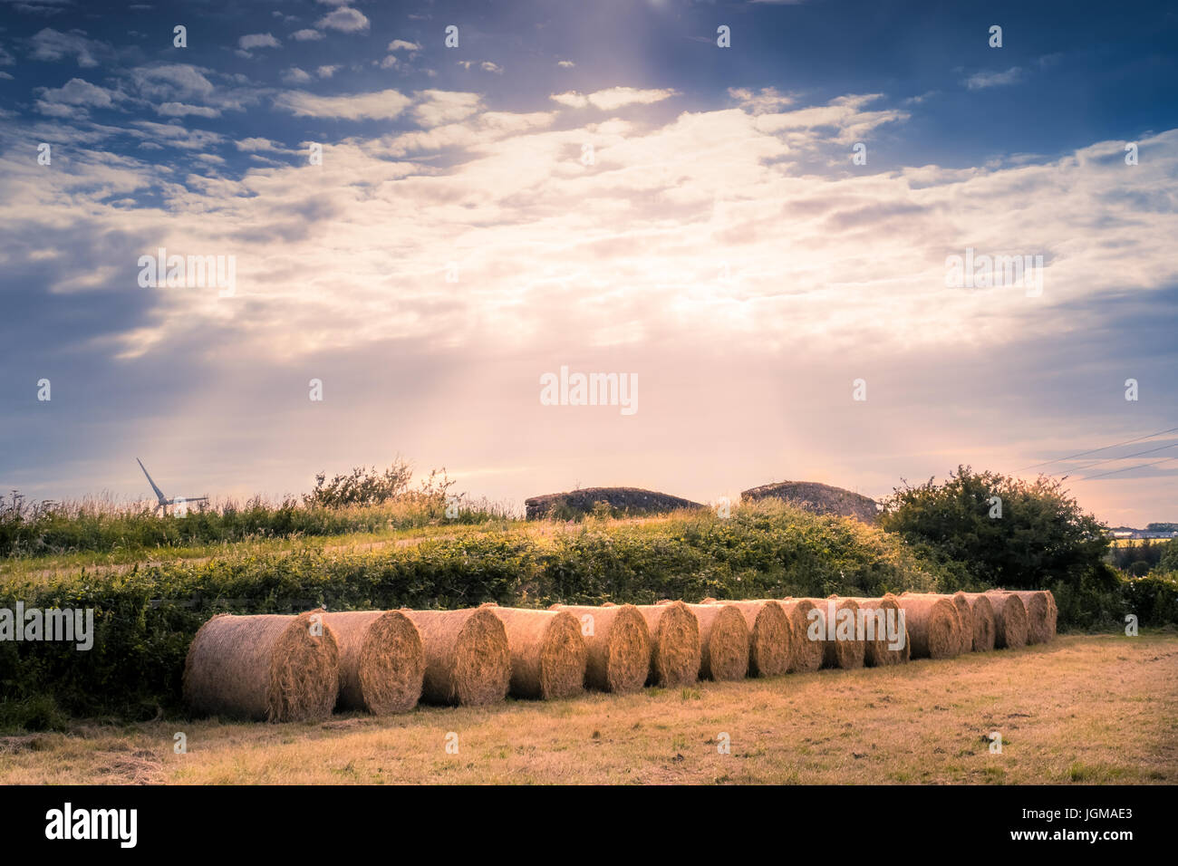 Row of round hay bales hi-res stock photography and images - Alamy