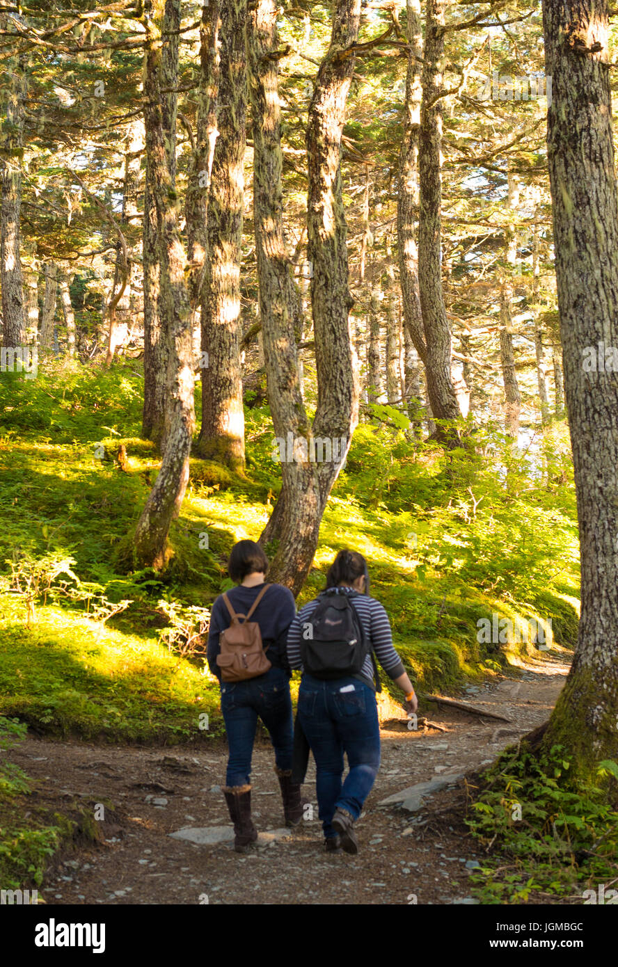 2 sisters holding hands walking through a forest Stock Photo - Alamy