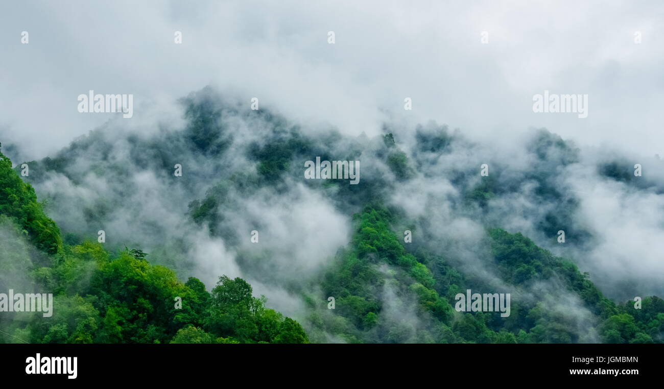 mountain and mist Stock Photo - Alamy