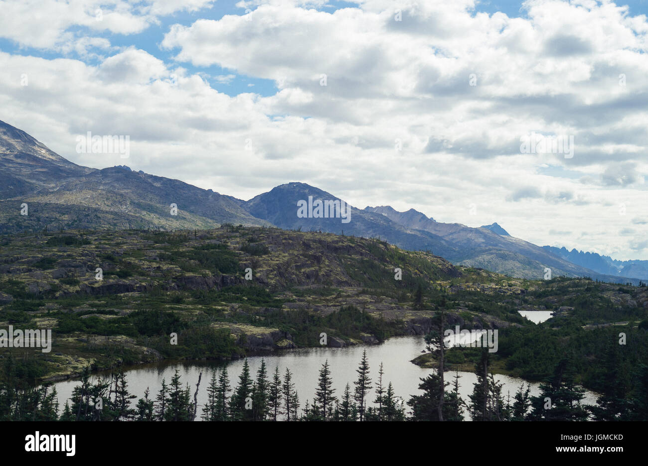 Alaskan environment hi-res stock photography and images - Alamy