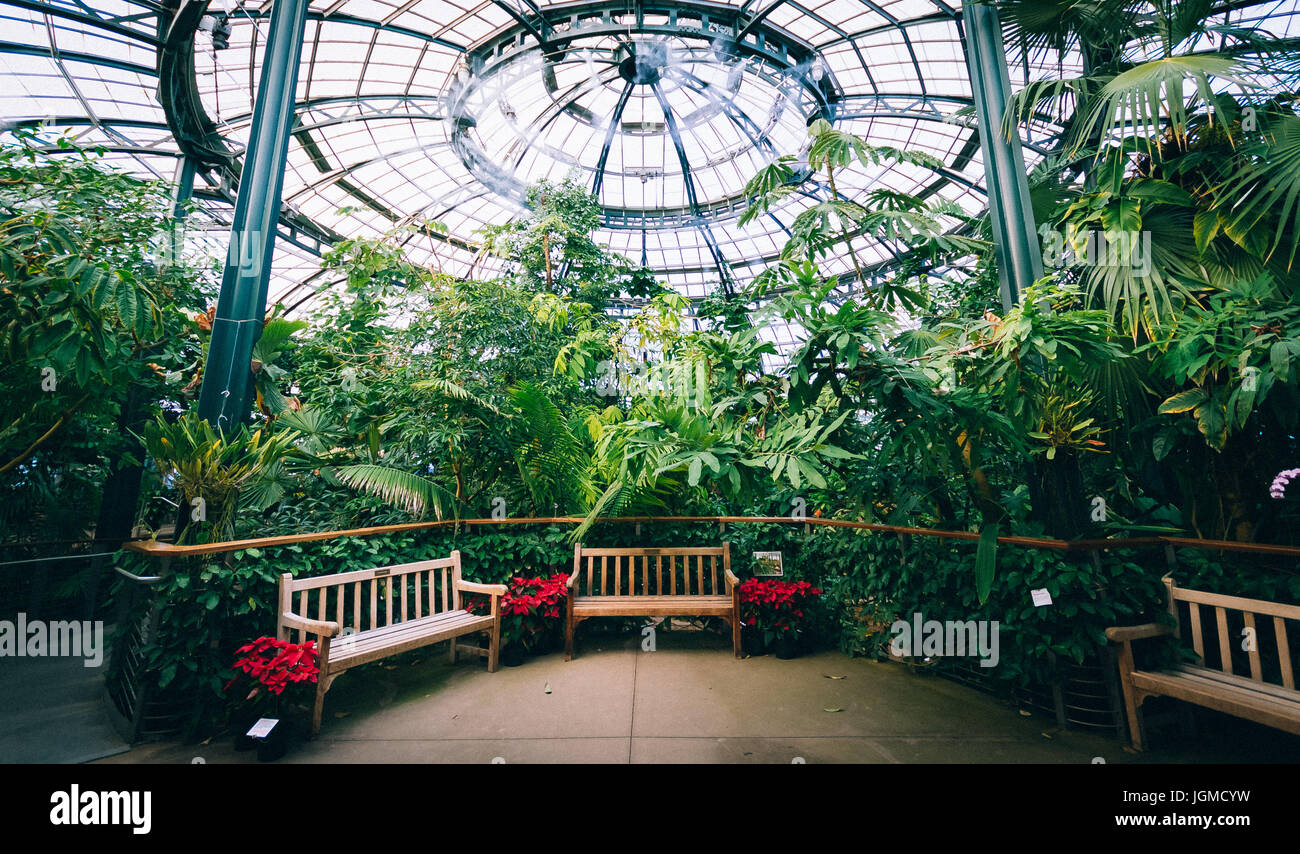 Huntington library dome hi-res stock photography and images - Alamy