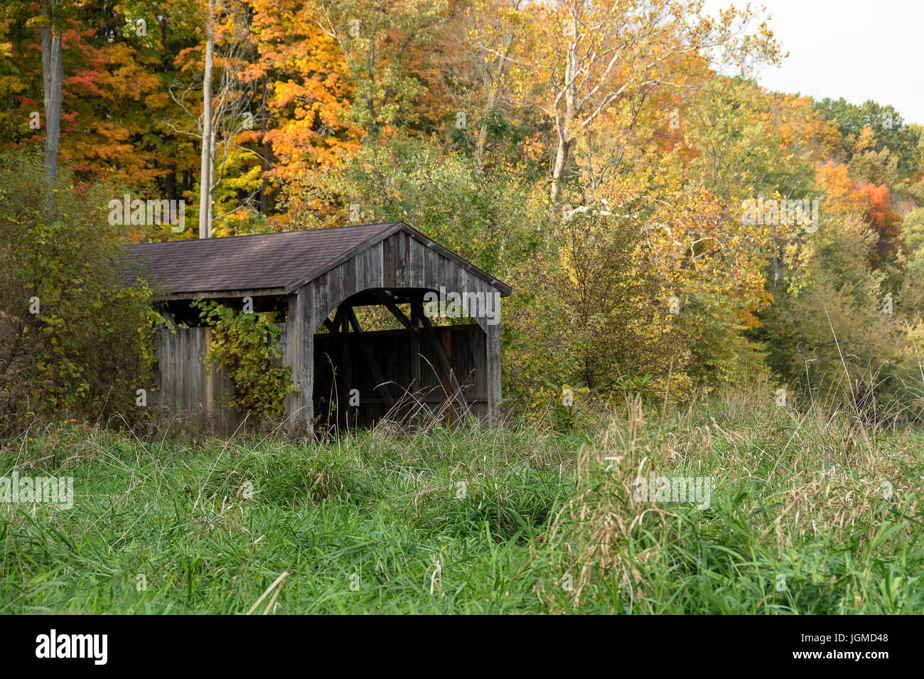 old wooden covered bridge in autumn trees Stock Photo - Alamy