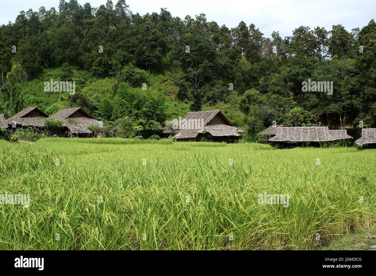 Hut reis hi-res stock photography and images - Alamy