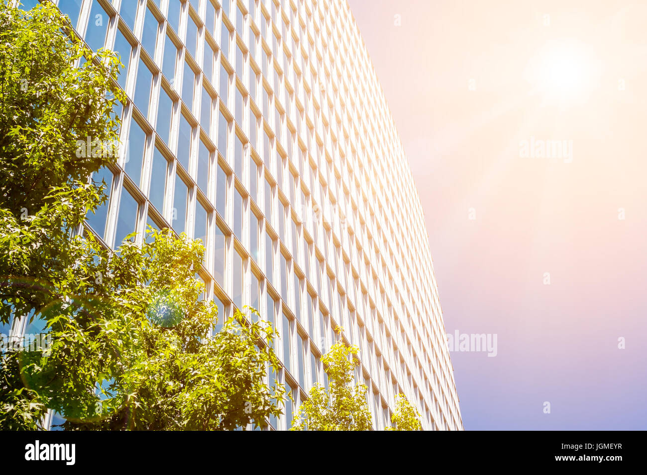Perspective view of contemporary office building with branches of tree ...