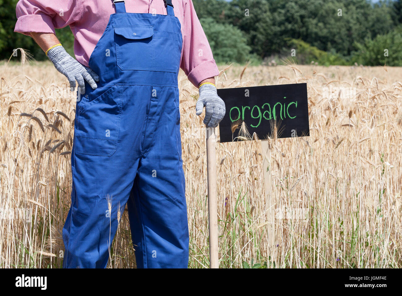 Farmer standing in front of the organic wheat field Stock Photo - Alamy
