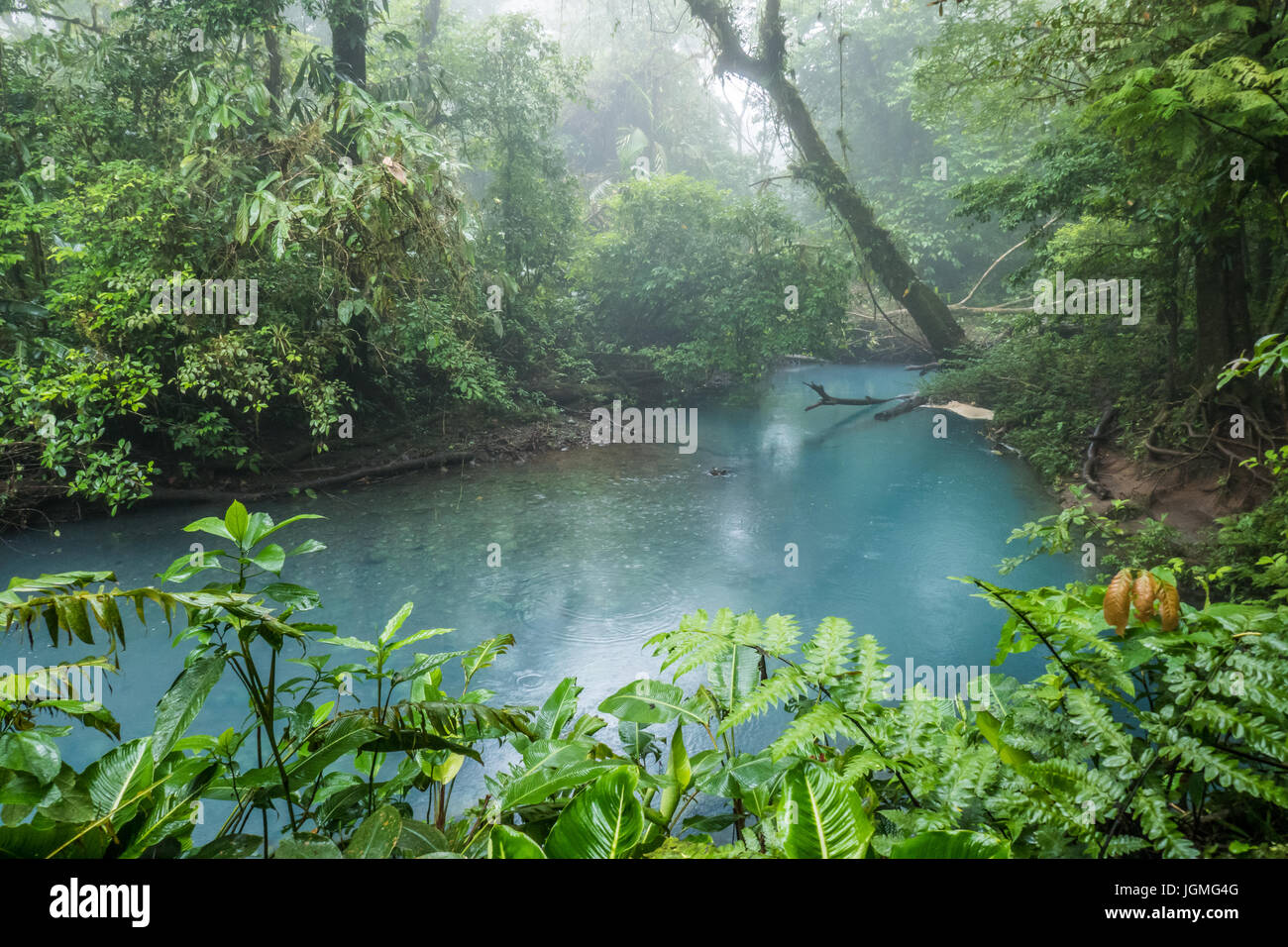 Rio Celeste blue acid water in Costa Rica Stock Photo - Alamy
