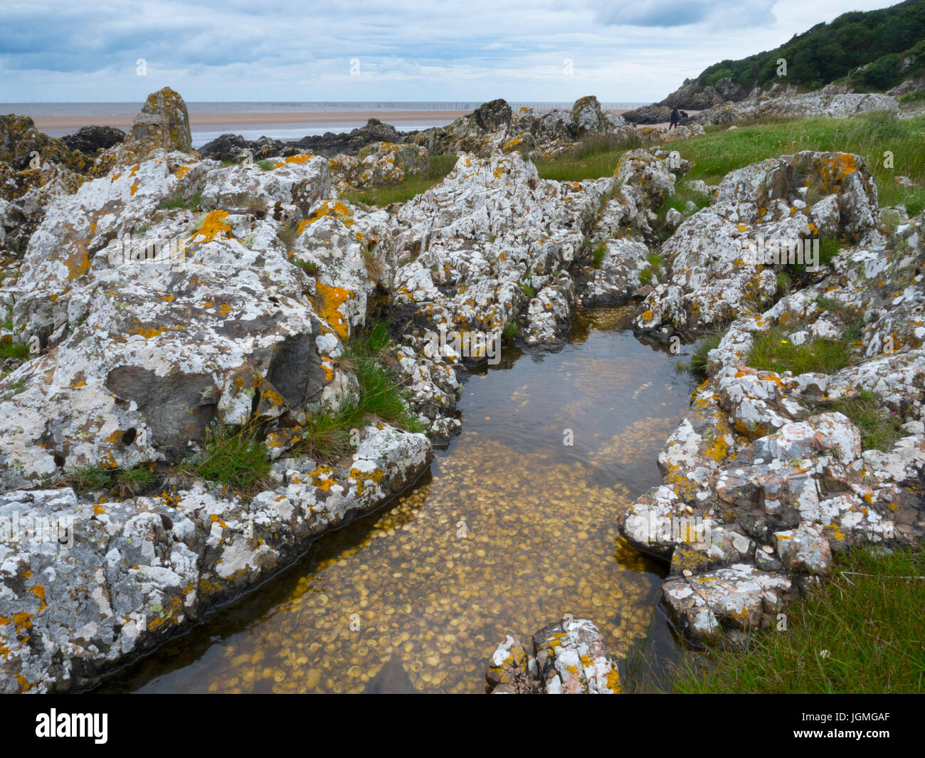 Rockcliffe marsh hi-res stock photography and images - Alamy