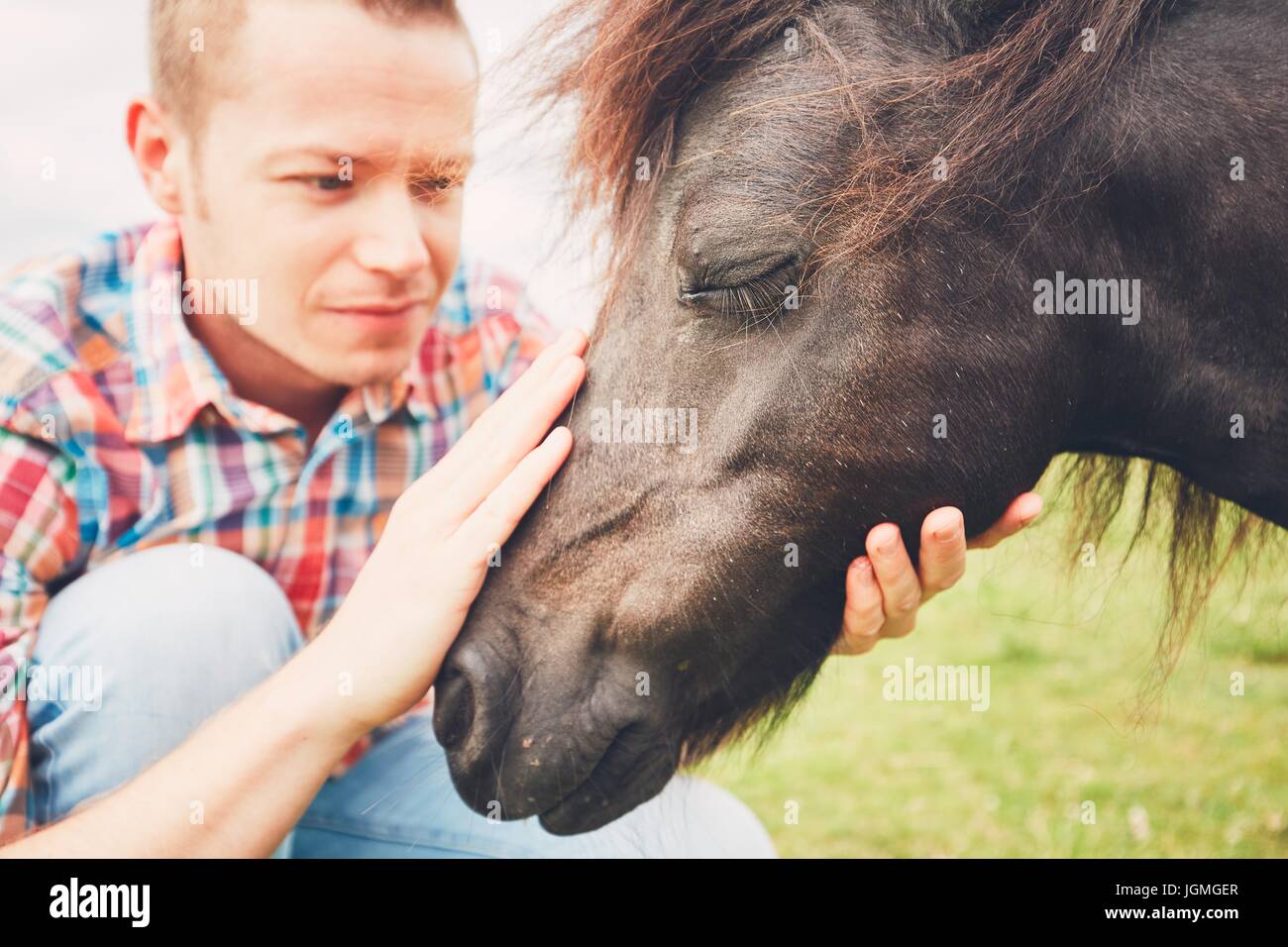 Young farmer caress mare of the miniature horses on the pasture Stock ...