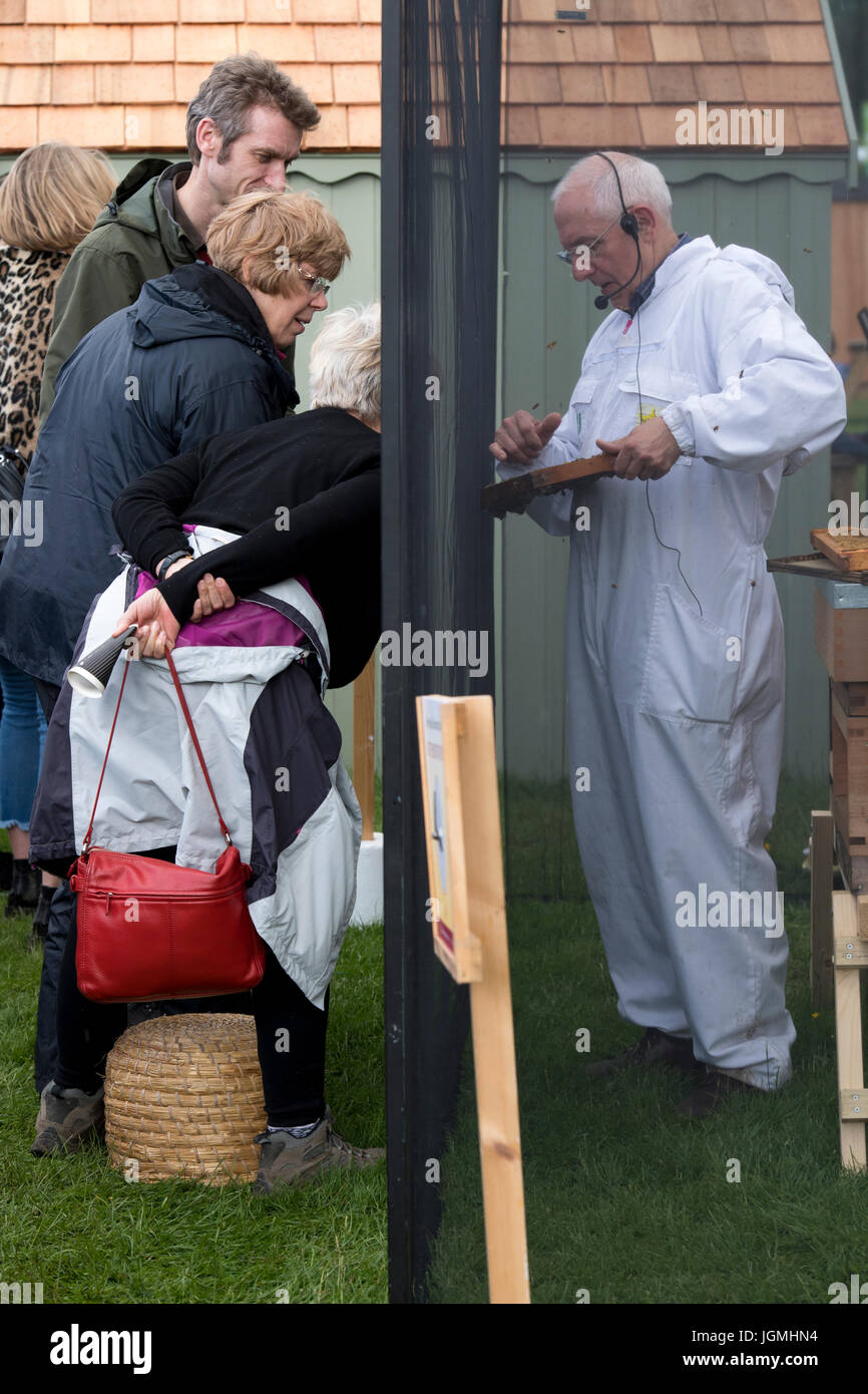 BBKA man giving live beekeeping demo talks & shows brood frame of bees ...