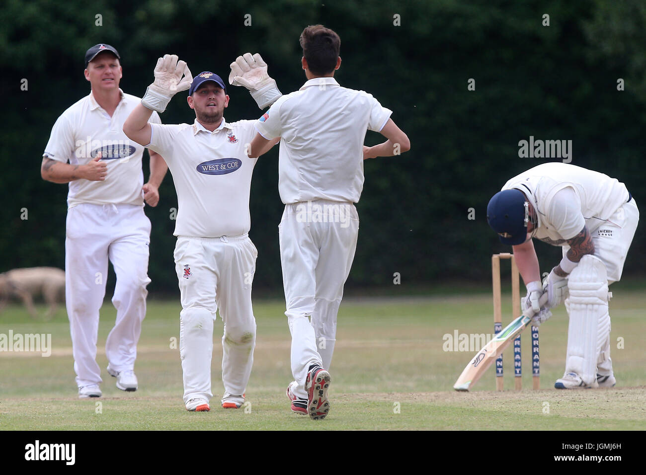 Upminster players celebrate the wicket of A Ison during Upminster CC vs ...