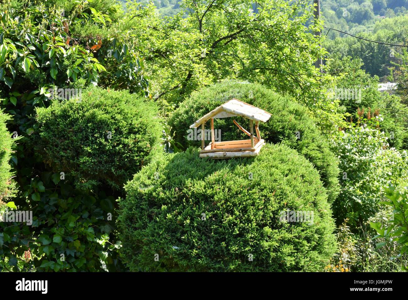 Fodder rack hi-res stock photography and images - Alamy