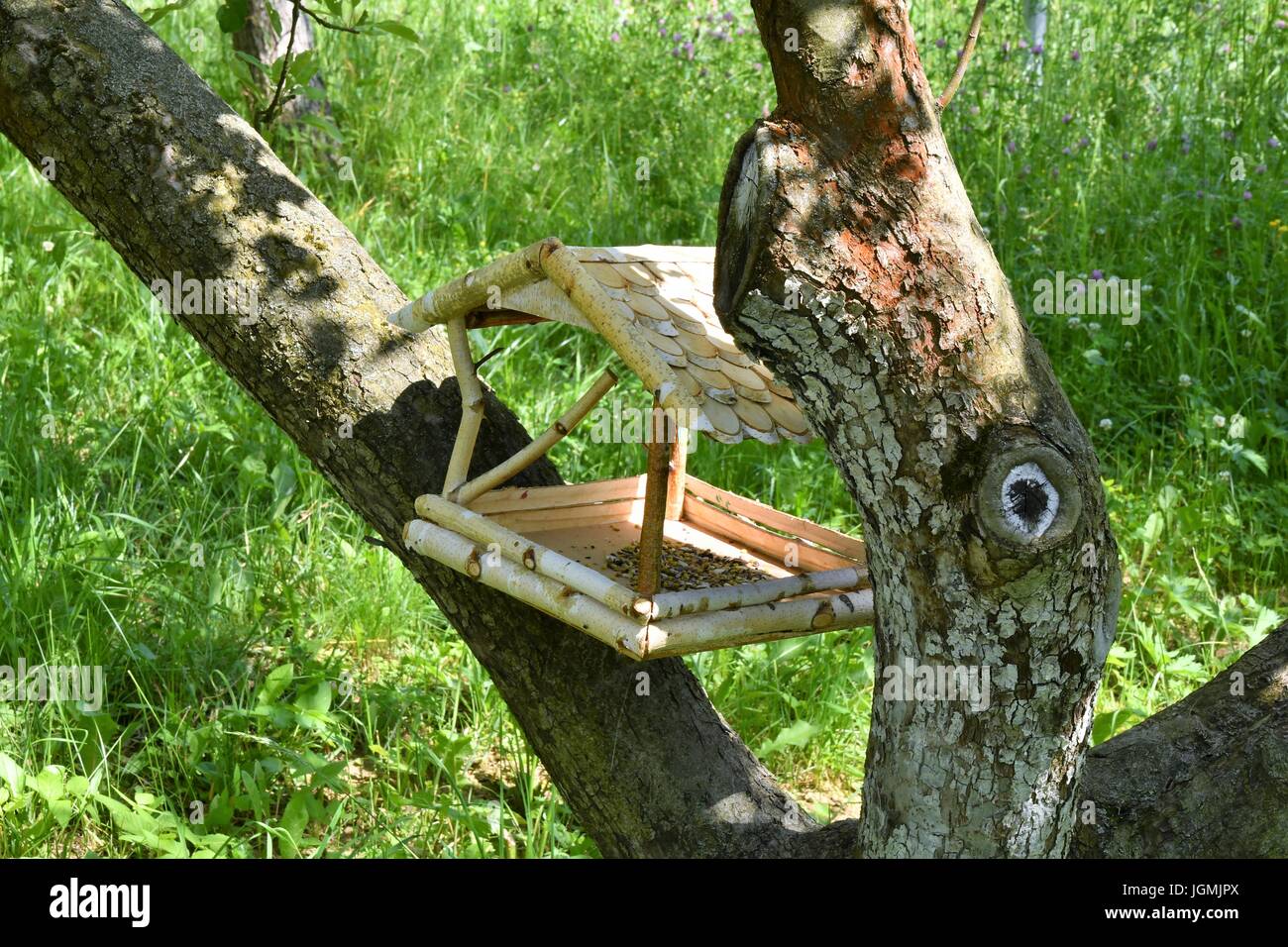 Fodder rack hi-res stock photography and images - Alamy