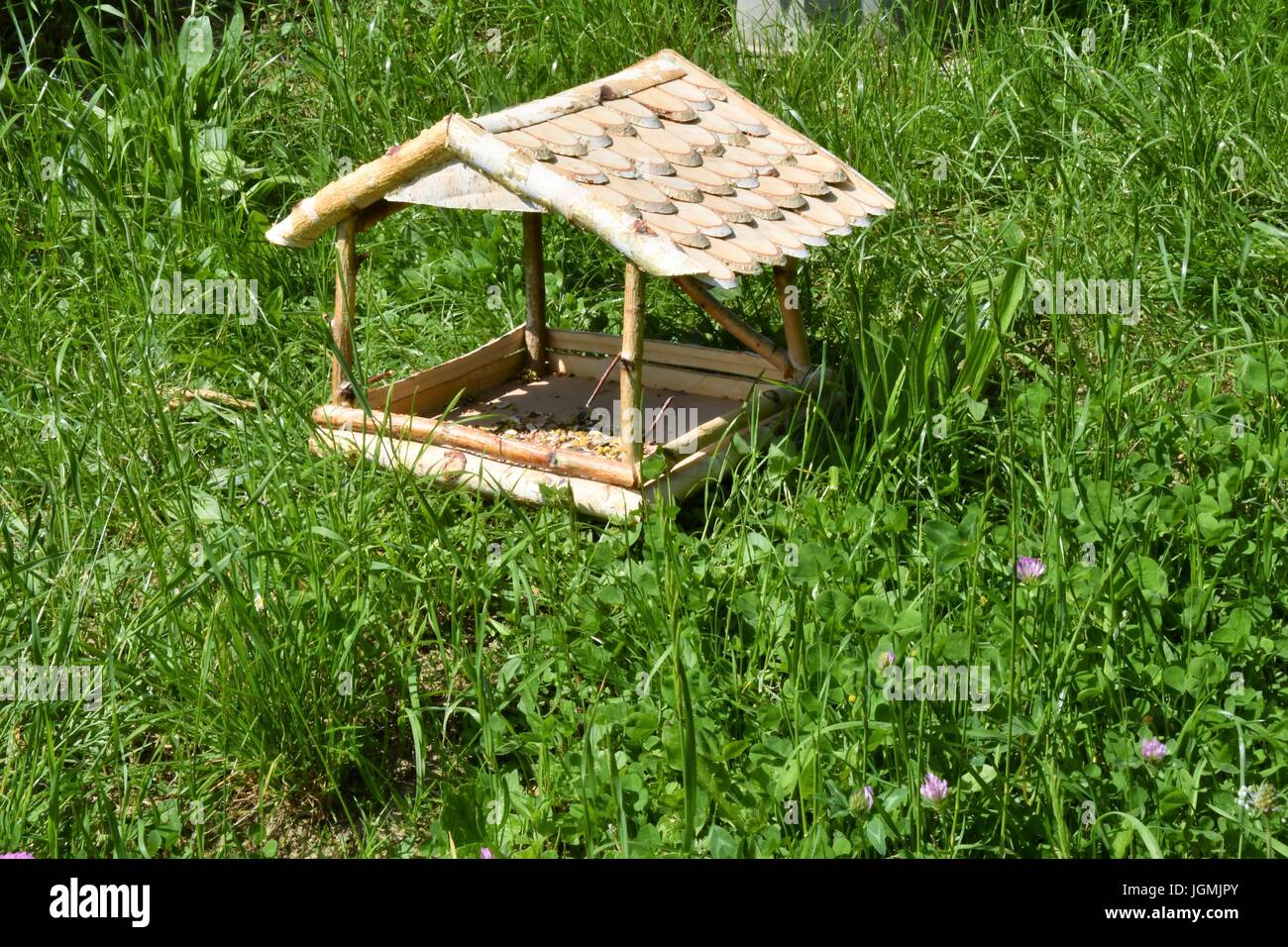 fodder rack for birds Stock Photo - Alamy